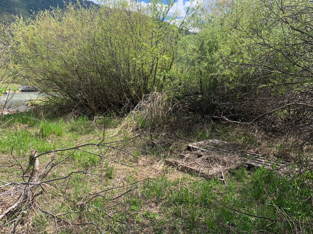 Karns Meadow campers again a summer problem