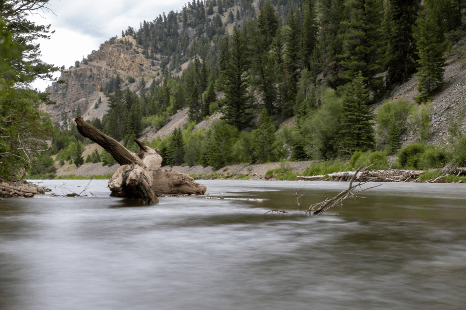 Public invited to learn more about Hoback River watershed study