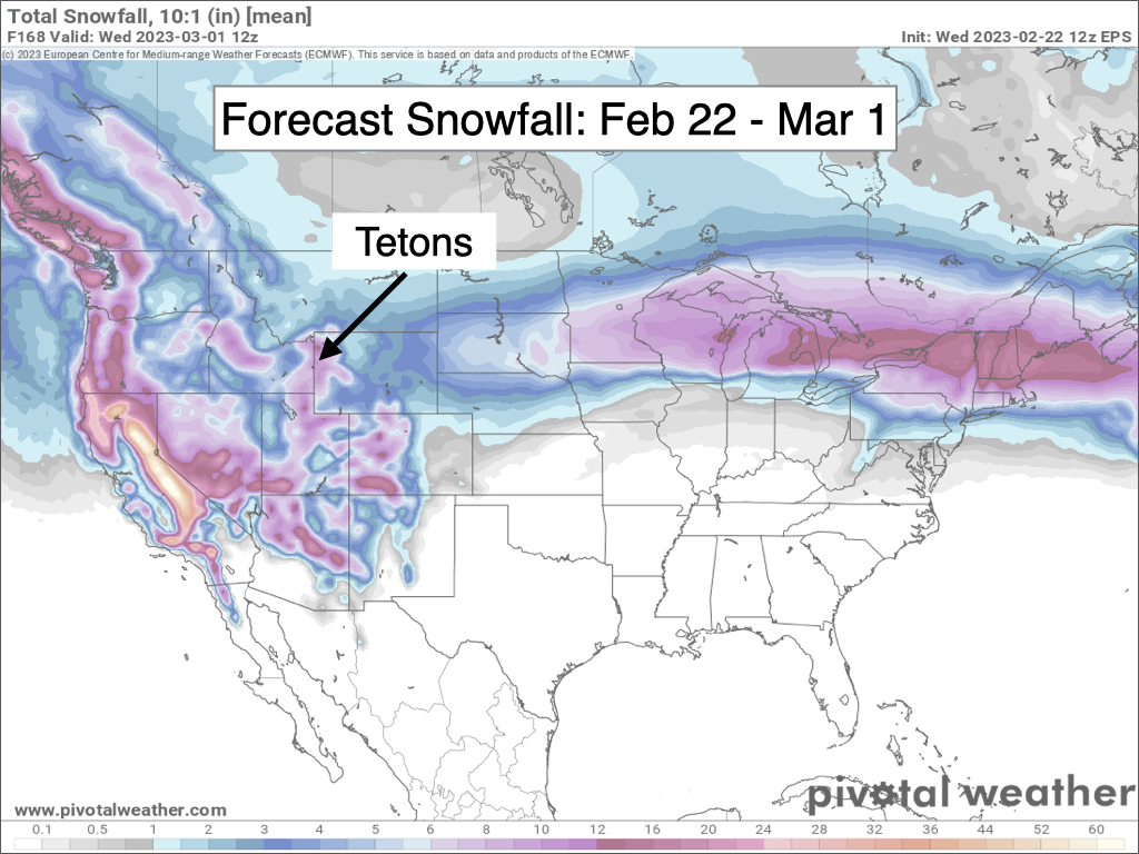 Storm produces heavy snow, strong winds across Teton County
