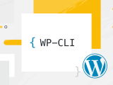 Introduction To Wp Cli Buddy The Devops Automation Platform