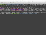 Format String Vulnerability What When And How Buffer Overflows