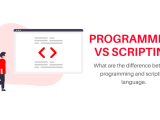 Difference Between Programming And Scripting And Which Is Better 2021