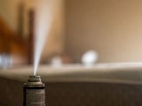 Dangers Of Diy Bed Bug Treatments Expert Pest Control Tips