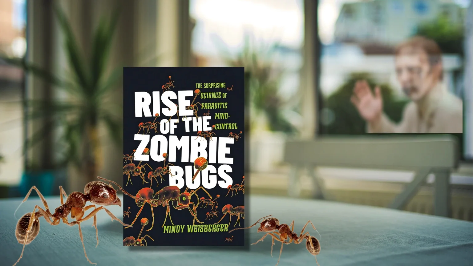 Zombie Bugs And The Parasites That Control Them Bug Zoo Inc