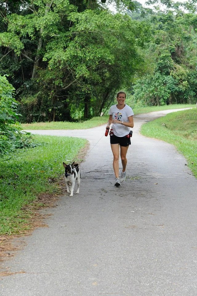 Accidental Photographer | paperorigami