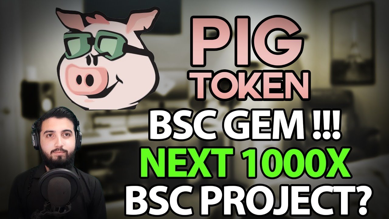 Pig Finance Token Price Prediction, And Expert Analysis » Bulliscoming