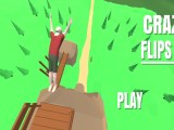 Play Crazy Flips 3d Online Free Best Unblocked Stunt Game