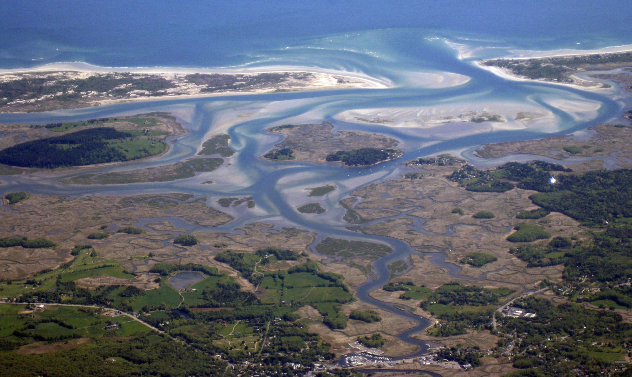 Q A On Salt Marshes Massachusetts Thriving Communities Boston q-a-on-salt-marshes-massachusetts-thriving-communities-boston