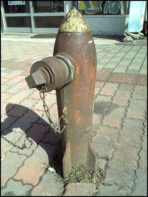 Don’t Yell FIRE – Tacky Raccoons