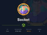 Socket Hack The Box Bunnys666 Io