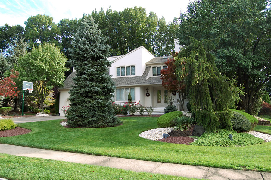 House pictures – Burlaki.com