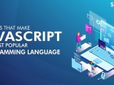 Javascript The Programming Language Of The Web Business Analyst