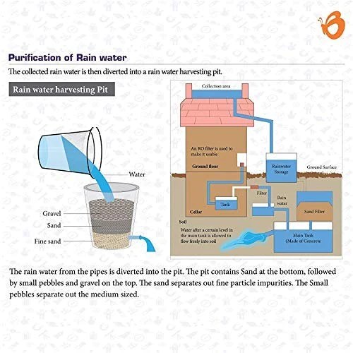 Rain Water Harvesting | DIY Science Project Kit