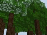Forest Codecraft Python