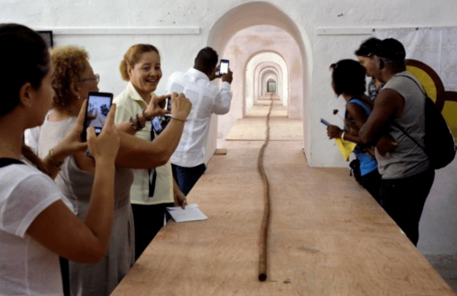 See The World’s Longest Cigar – 90 Meters Long! | UrbanWeeklyNG.com