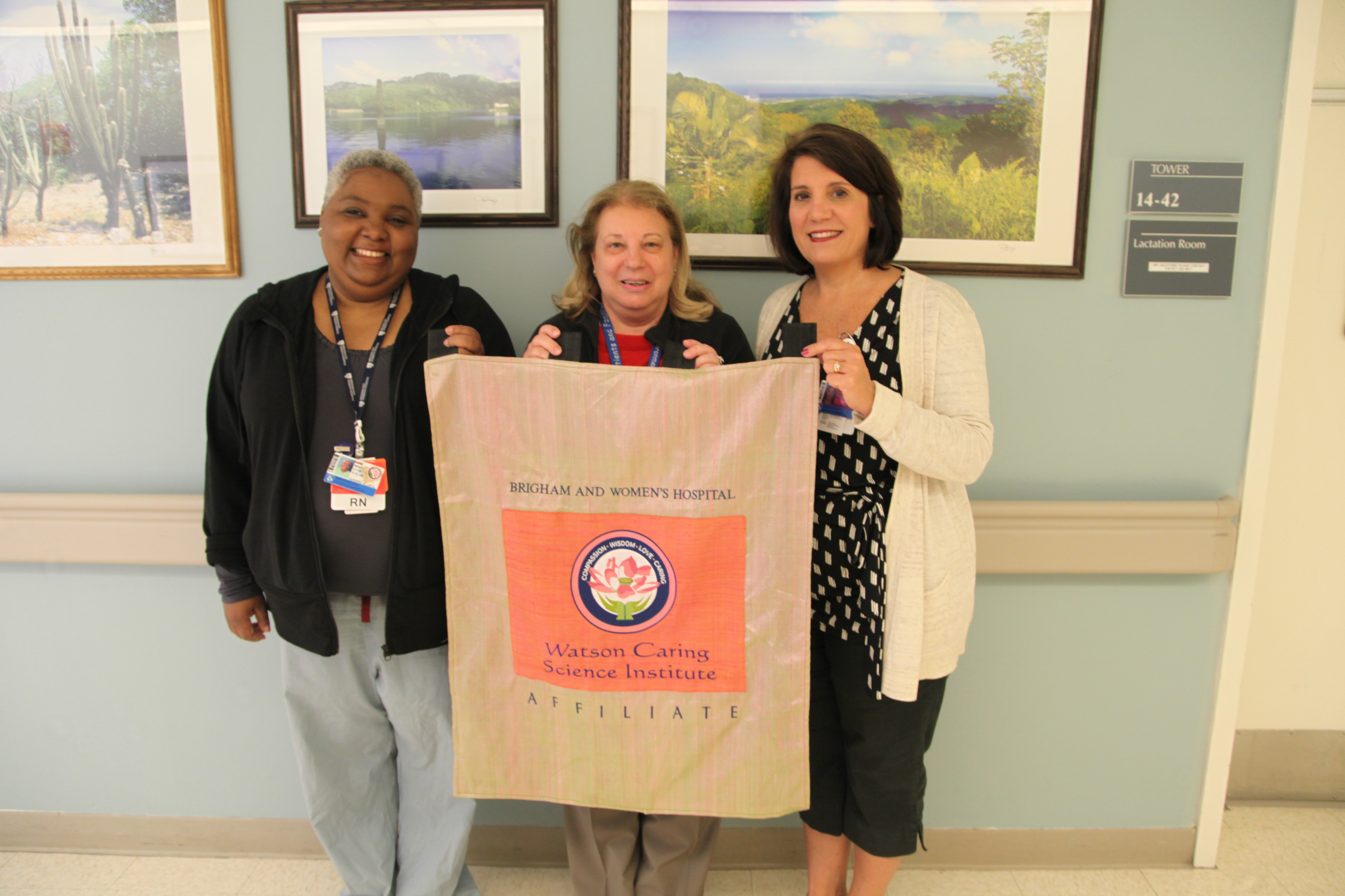 The Caritas Processes as a Guide Toward Caring Intentions - Brigham ...