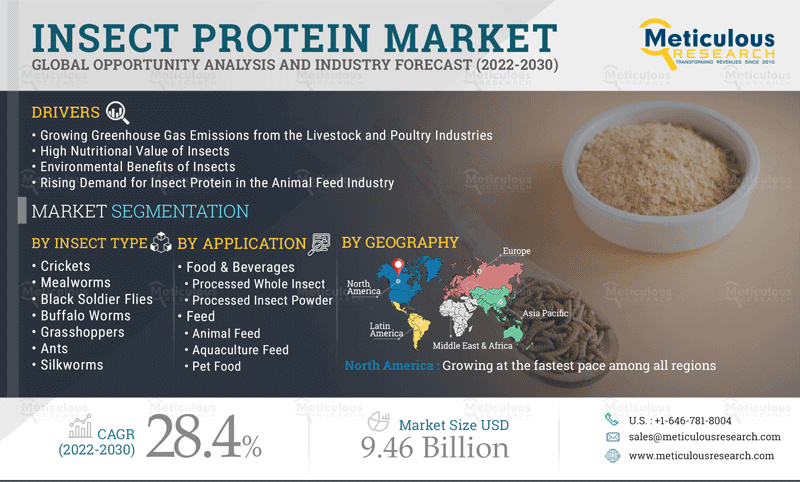 Insect Protein Market - Global Forecast to 2030 - bygora