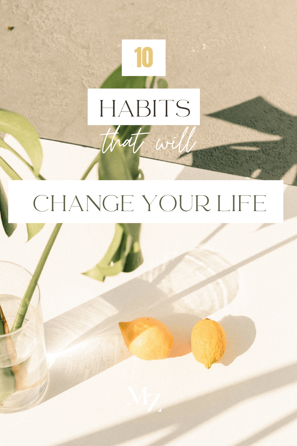 10 Good Habits That Will Improve & Change Your Life - By Maya Z
