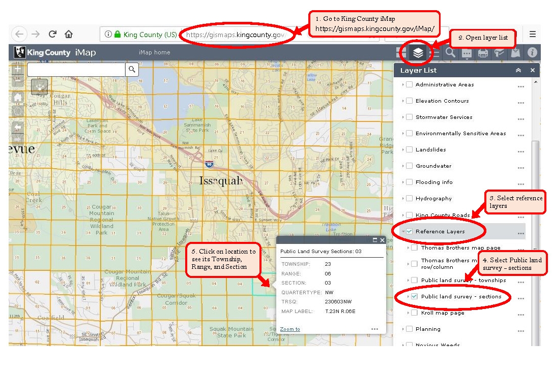 Visualizing King County: timber cruise reports from 1907-08 – Bytes and ...