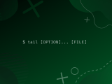Linux Tail Command With Examples Bytexd