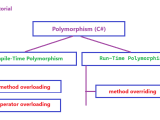 C Polymorphism Example