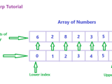 C Arrays With Examples