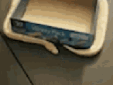 Snake Cuddles Gif Python Snake Snake Pile Discover Share Gifs