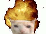 Cat Explode Sticker Cat Explode Cate Discover Share Gifs