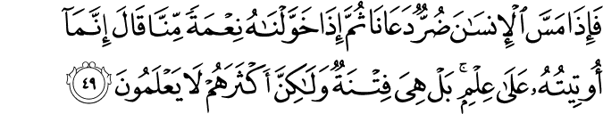 Tafseer Surah Yaseen 41-44 | In the Pursuit of Writing