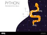 Python Code Language Sign Programming Coding And Developing Concept
