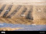 Wave Patterns Hi Res Stock Photography And Images Alamy