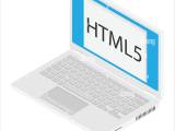 Vector Laptop Coding Concept Web Developer Design Programming
