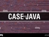 Case Java With Binary Code Digital Technology Background Abstract