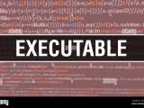 Executable With Digital Java Code Text Executable And Computer