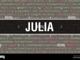 Julia With Digital Java Code Text Julia And Computer Software Coding