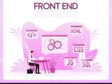 Front End Software Development Programming Code Vector Illustration