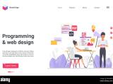 Cartoon Flat Man Woman Programmer Developers Work Coder Characters