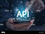 Api Application Programming Interface Software Development Tool Stock