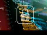 Programming And Coding Technologies Developer Working On Web Stock