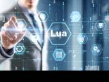 Lua Programming Language Scripting Programming Language Stock Photo