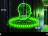 Binary Code Human Head And Digital Interface Image Over Server Room