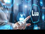 Lua Programming Language Scripting Programming Language Stock Photo