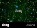 Digital Fly Binary Code Background Loop Data Binary Code Network 4k