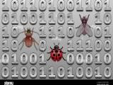 Software Bugs Computer Data Errors Binary Code With Bugs Corrupted