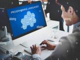 Programming Language Coding Developer Software Concept Stock Photo Alamy
