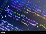 Web Developer Code