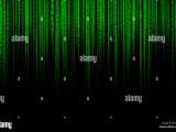 Digital Data Binary Code Technology Matrix Background Data Flood
