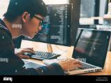 Professional Development Programmer Working In Programming Website A