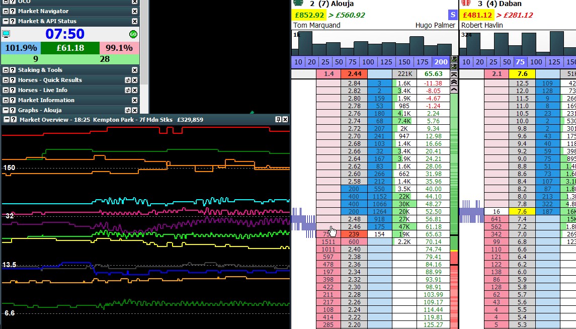 Betfair Bot Goes Wrong! Did You See It? (Rare Opportunity)