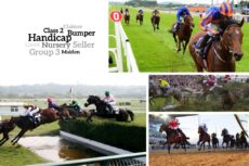 Guide to UK Horse Racing Types, Grades and Classes